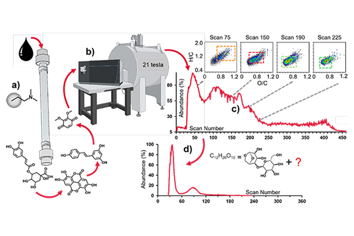 National MagLab - MagLab